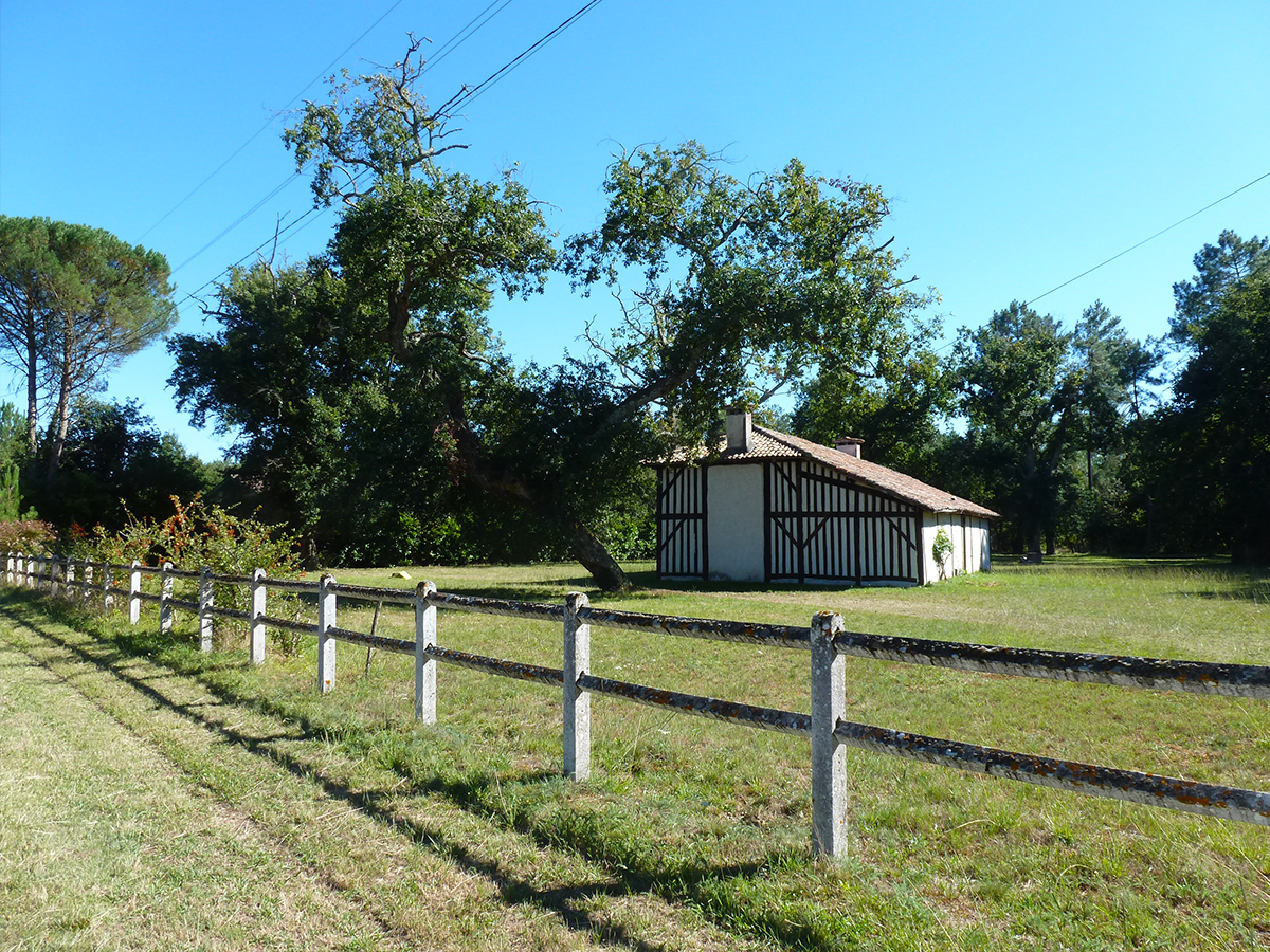 Photos du gite et des paysages landaisGite des Landes de Boutoura